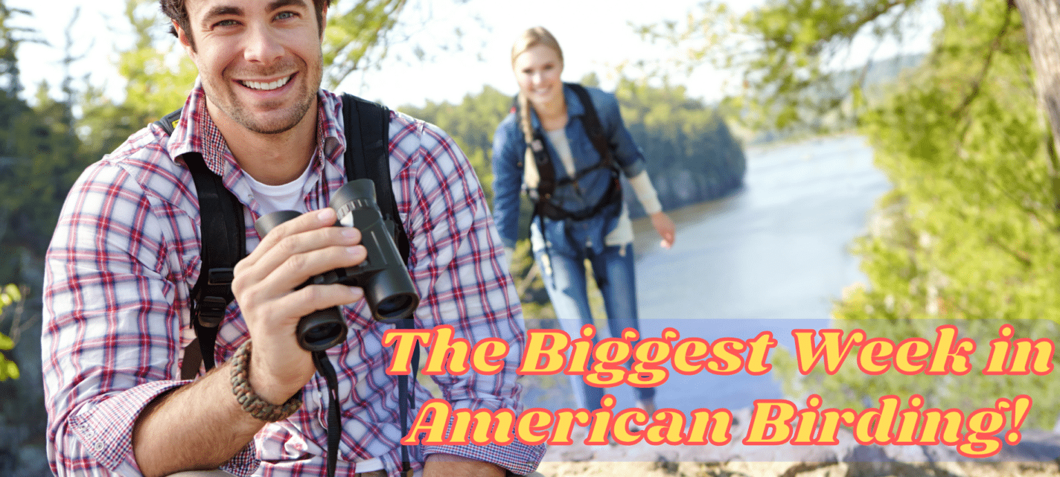 The Biggest Week in American Birding! Northwest Ohio Birding Festival ...