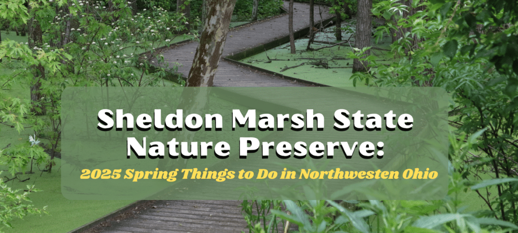 Sheldon Marsh State Nature Preserve: 2025 Spring Things to Do in ...